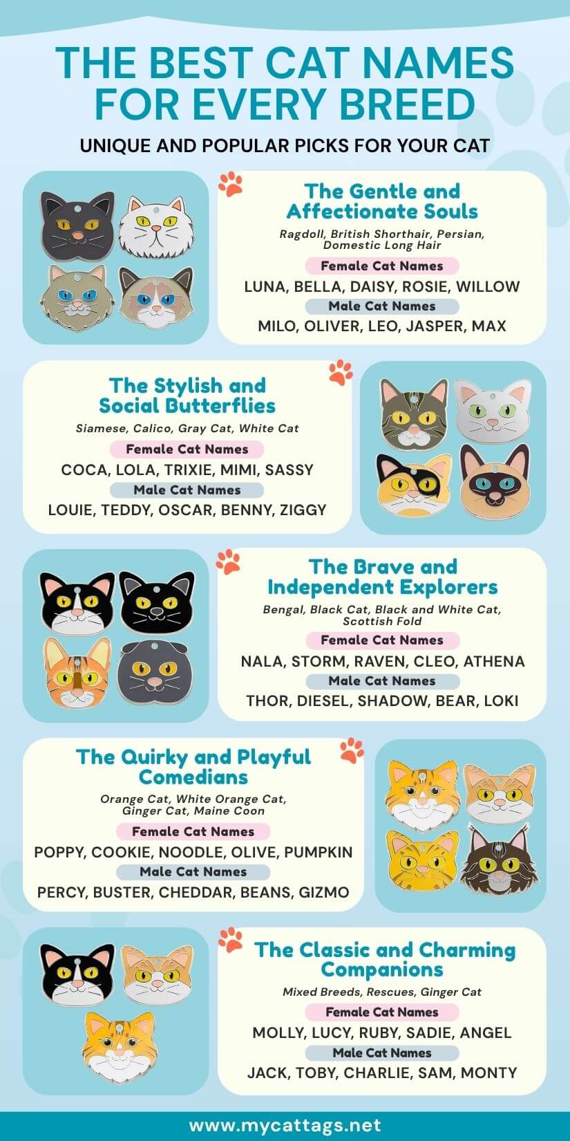 Best Cat Names by Breed: Choose the Perfect Name for Your Cat